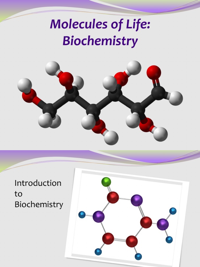 Molecules of Life (Macromolecules) PowerPoint | PDF | Carbohydrates ...