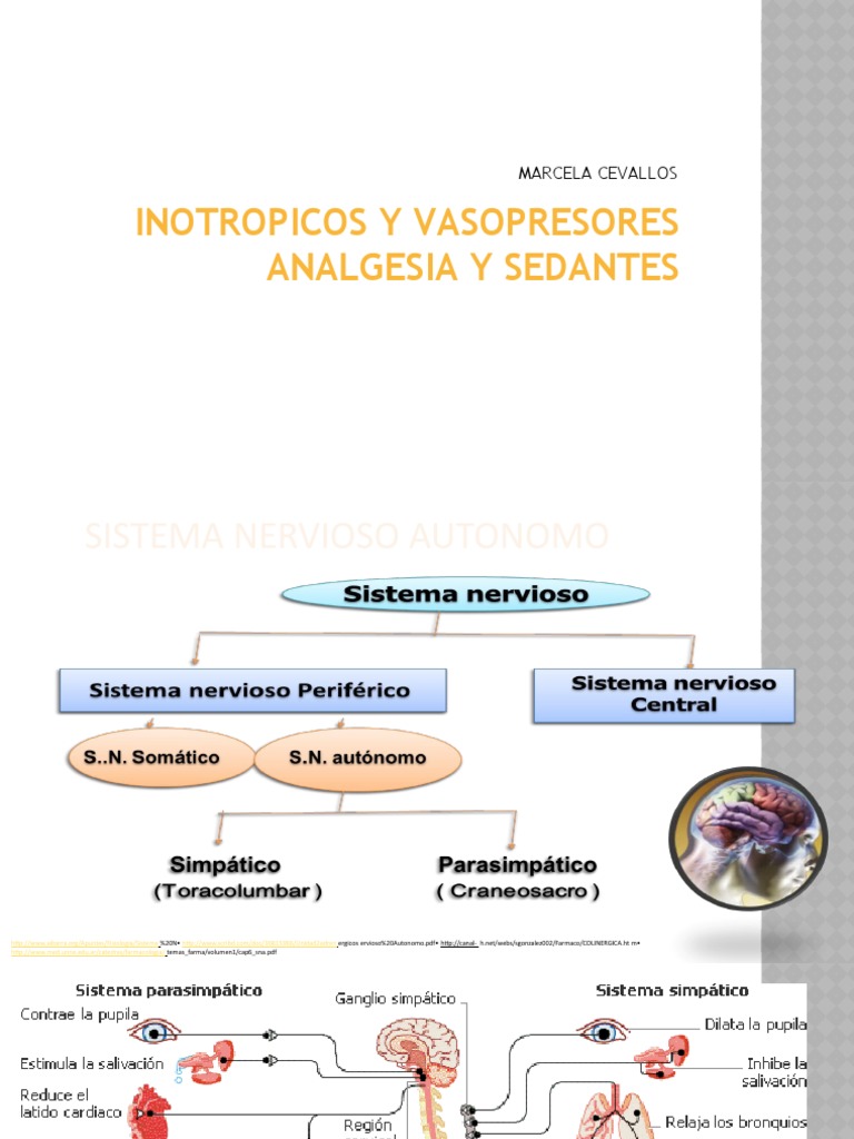 Inotropicos y Vasopresores Tutoria DR Ciro | PDF | Receptor (Bioquímica ...