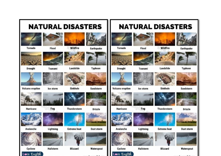 Natural Disaster | PDF