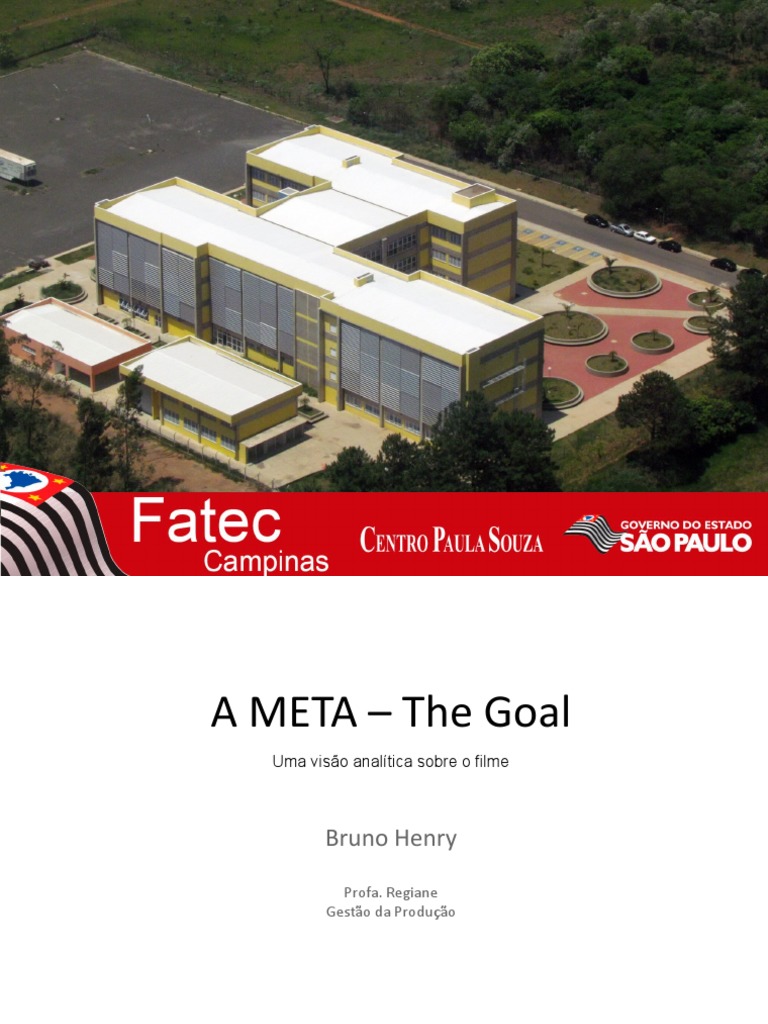 A Meta - Visão Analítica Sobre o Filme | PDF | Marketing | Gestão estratégica