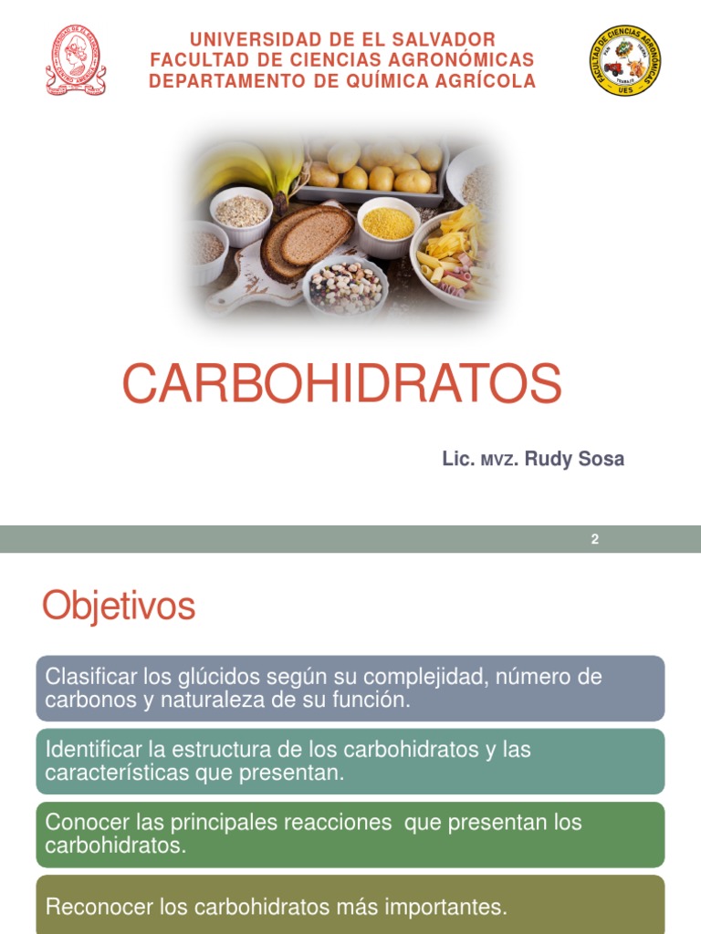 CARBOHIDRATOS | PDF | Carbohidratos | Polisacárido