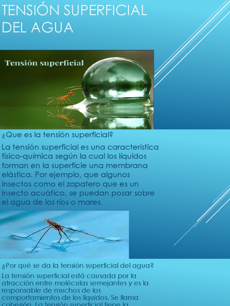 Tensión Superficial Del Agua | PDF | Ciencia y matemáticas