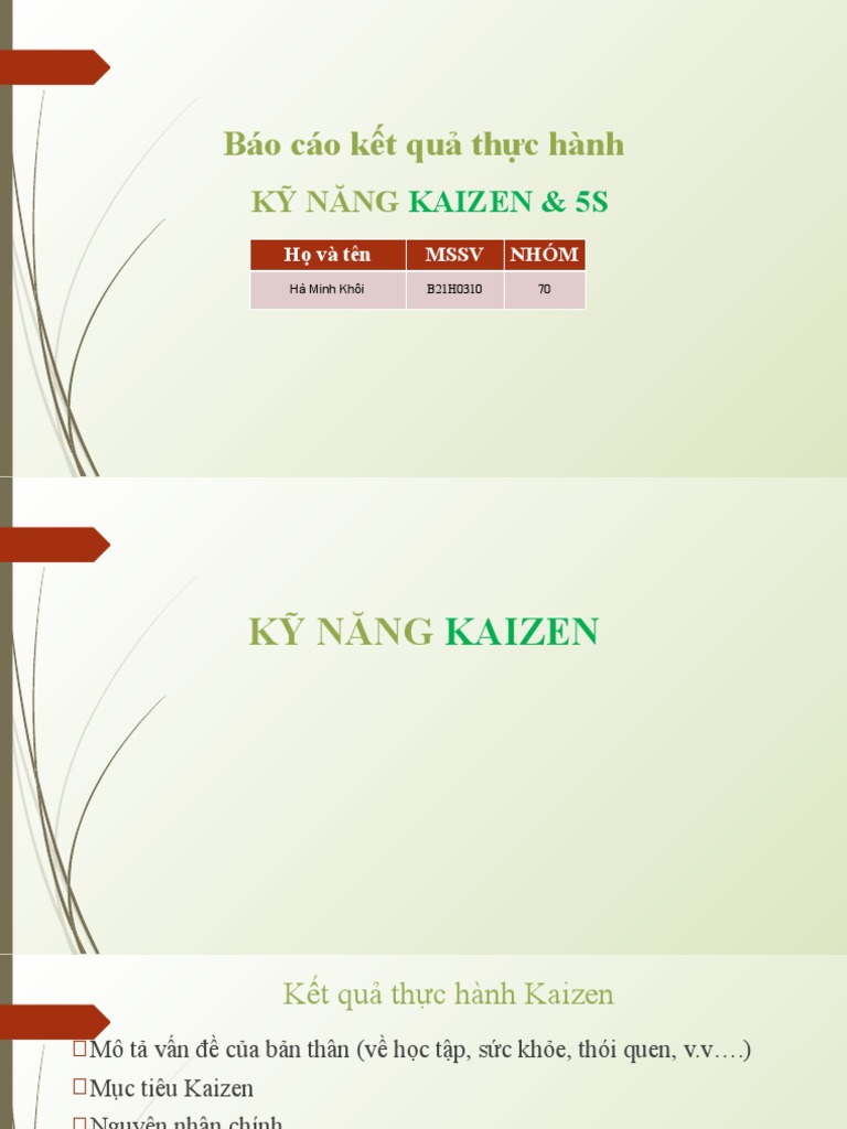 5s Và Kaizen - L00020 | PDF