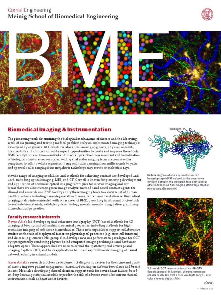 Biomedical Imaging and Instrumentation 2021_0 | PDF | Medical Imaging ...
