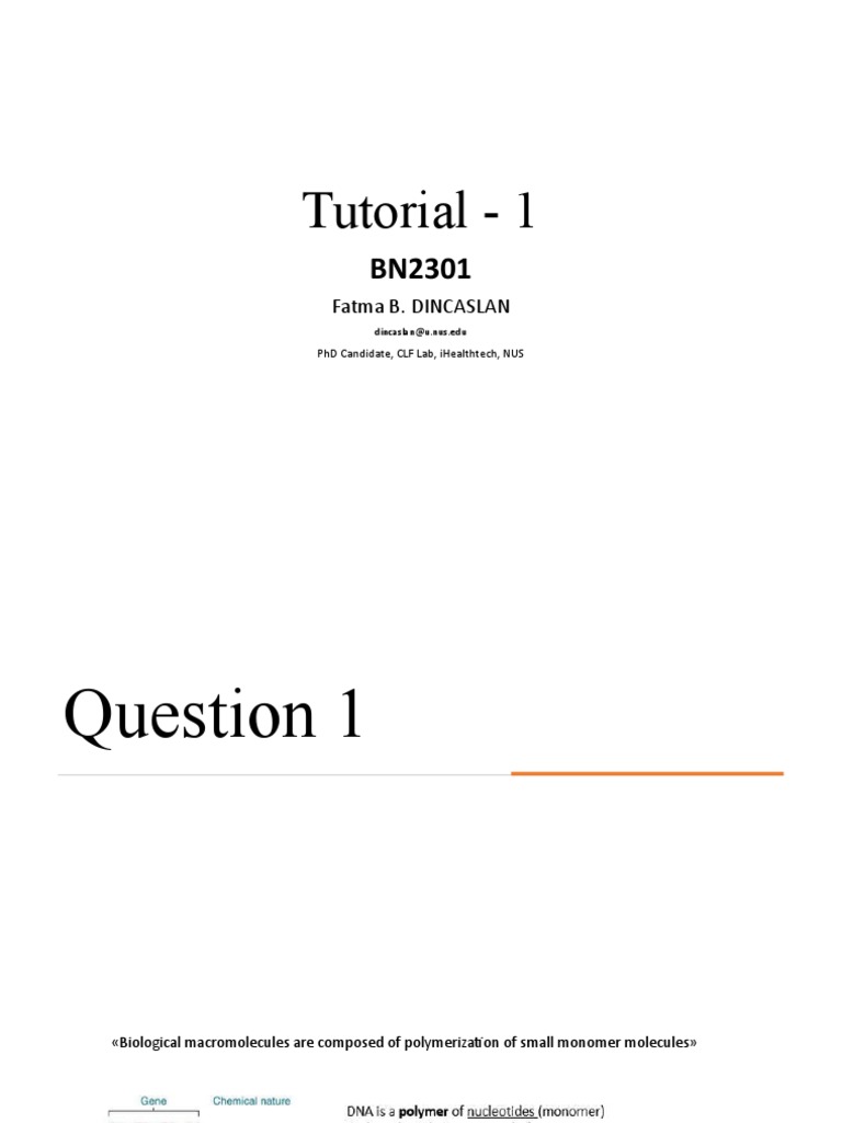 Tutorial 1 Slides | PDF | Dna Replication | Nucleic Acids