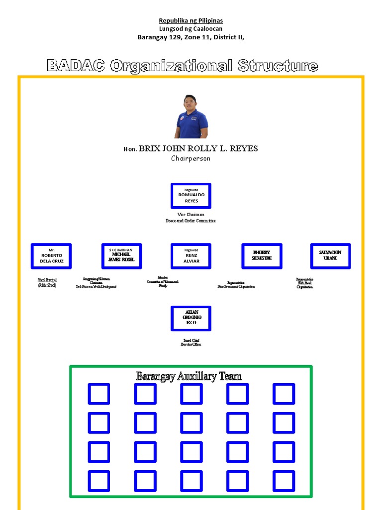 Badac Orga | PDF | Positions Of Authority | Government Institutions