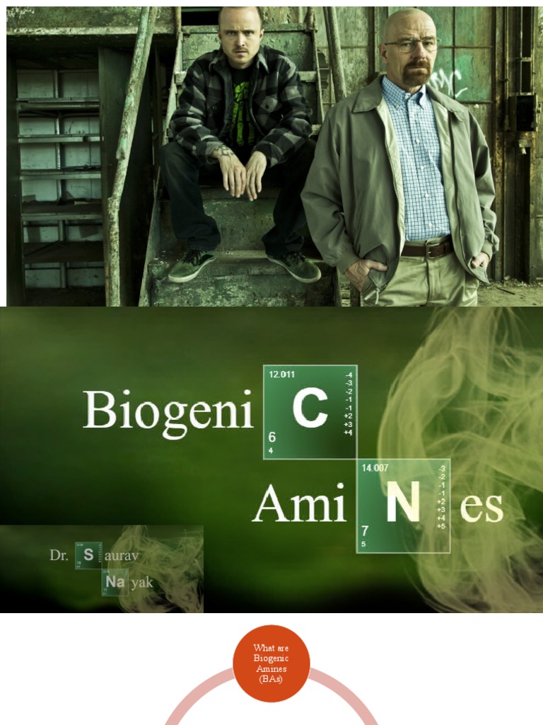 Understanding Biogenic Amines and Their Functions | PDF