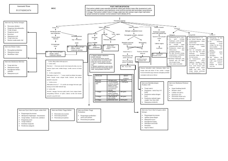 WOC Post Partum | PDF