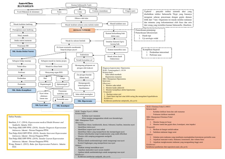 Woc Demam Thypoid | PDF