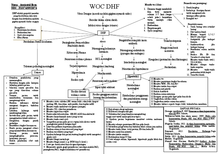 Woc DHF | PDF