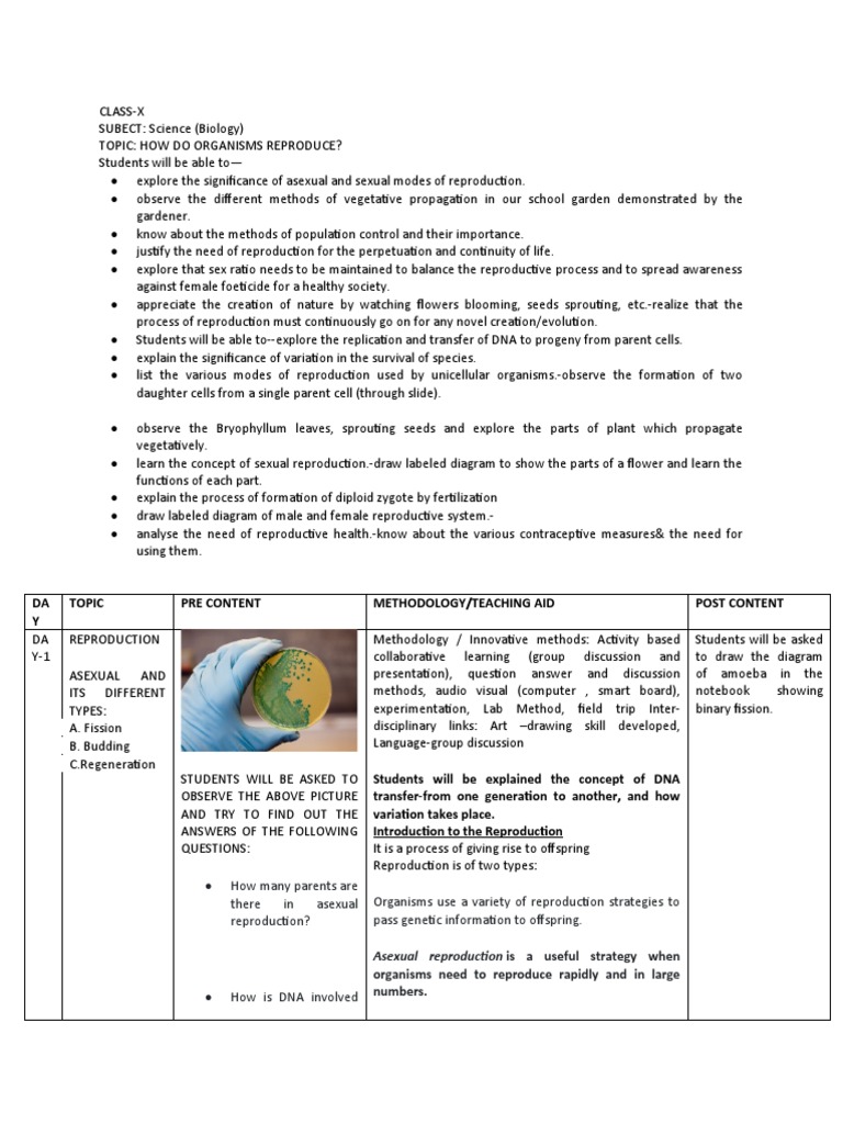 Reproduction Lesson Plan | Download Free PDF | Reproduction | Fertilisation