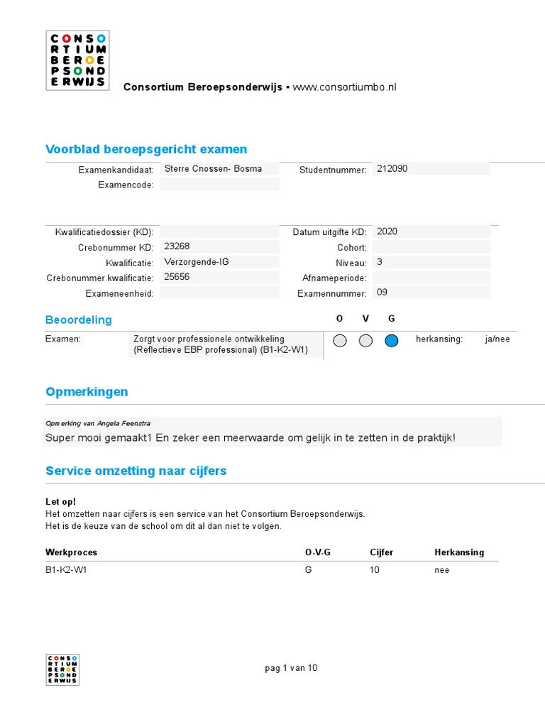 Sterre Cnossen - Bosma - 09 Zorgt Voor Professionele Ontwikkeling Reflectieve Ebp Professional ...