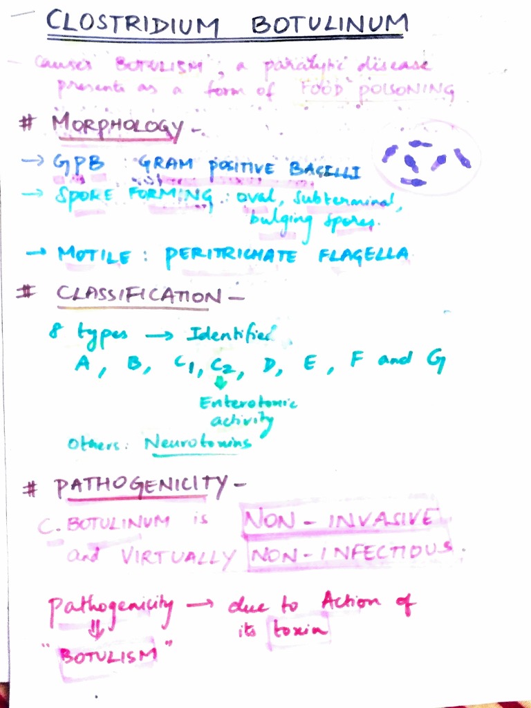 Clostridium Botulinum and Botulism Types | PDF | Environmental Science ...