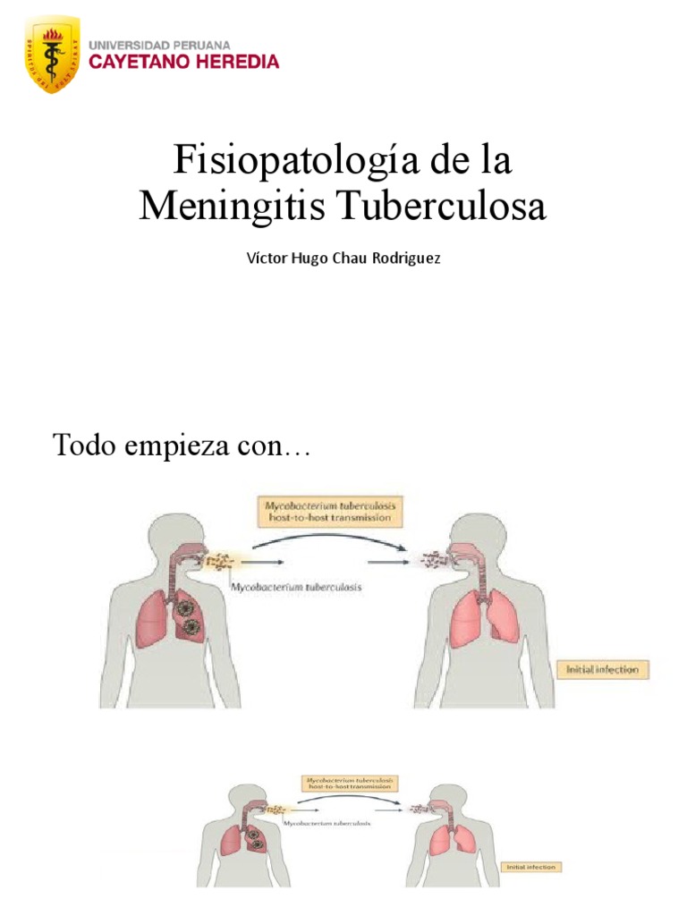 Fisiopatología de La MEC-TB | PDF | Tuberculosis | Meningitis
