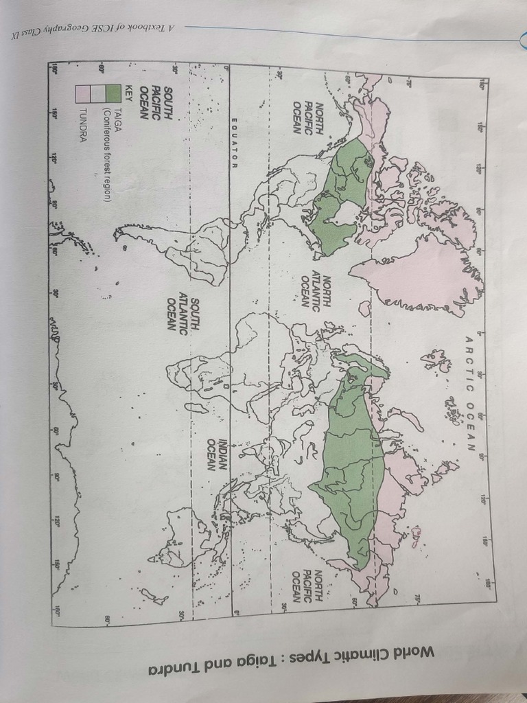 Taiga Tundra | PDF