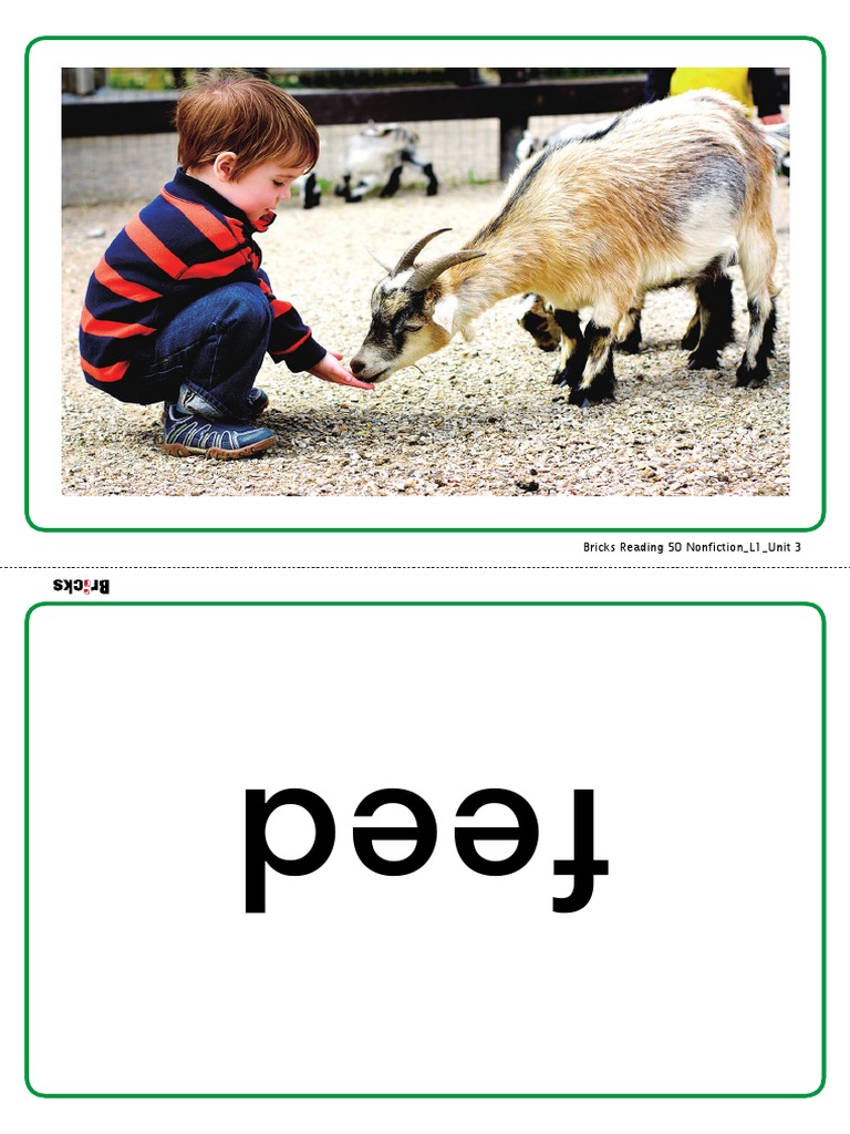 Bricks Reading 50 Nonfiction_L1_Flashcard_Unit 03 | PDF