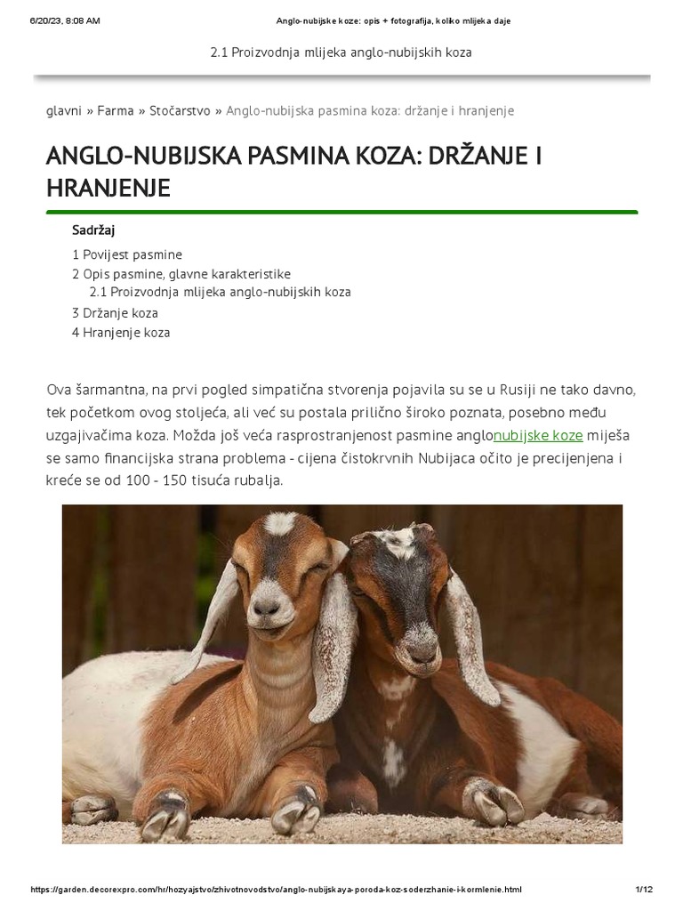 Anglo Nubijske Koze Opis Fotografija Koliko Mlijeka Daje PDF
