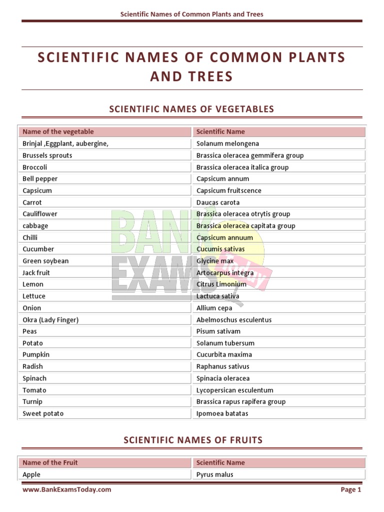 Scientific-Names-of-Common-Plants-&-trees..... | PDF | Fruit | Eggplant