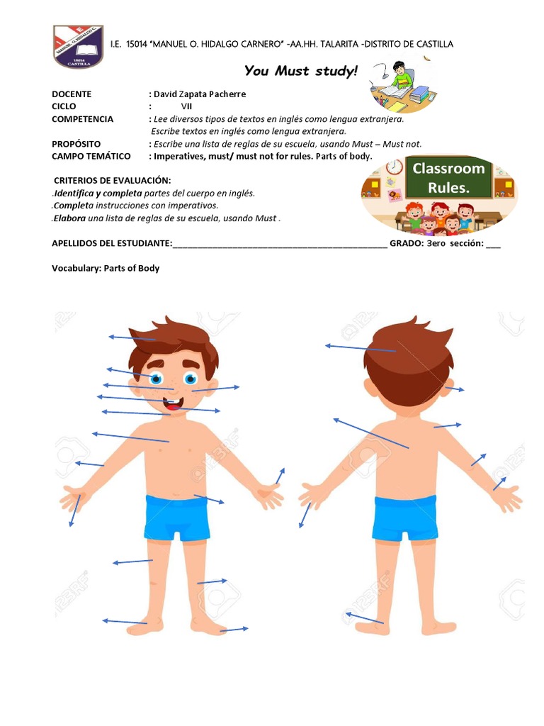 Parts of Body - Must - Must Not | PDF