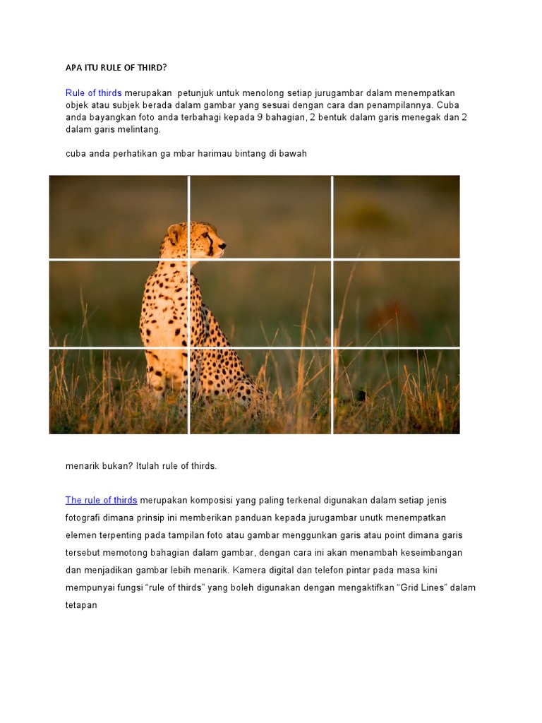 Apa Itu Rule of Third | PDF