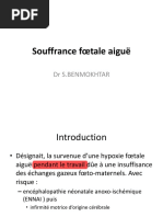 ERCF | PDF | Grossesse | Accouchement