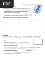 Labeled Female Squid Dissection Guide | PDF | Mollusca | Anatomical ...