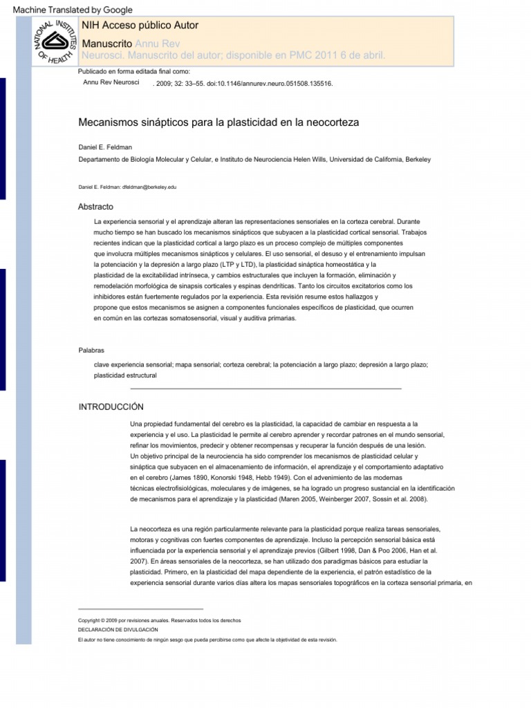 Plasticidad de La Neo Corteza | PDF | Neuroplasticidad | Sinapsis