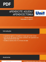 Anatomia e Funções do Apêndice Vermiforme | PDF | Doenças e distúrbios ...