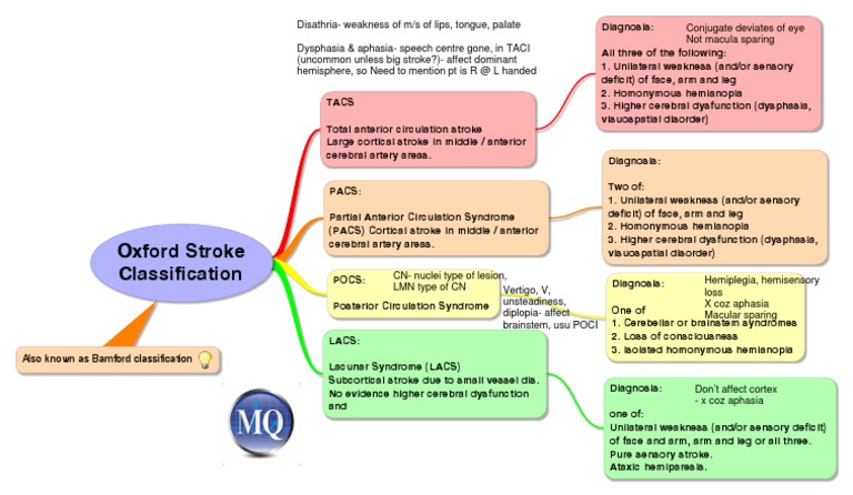 Oxford Stroke Classification Overview | PDF | Cerebral Cortex | Aphasia