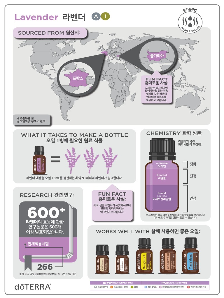 Lavender Infographic | PDF