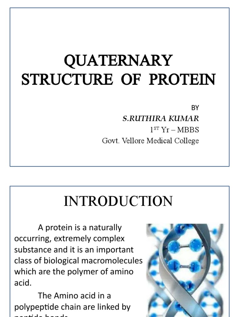 Quaternary Structure of Protein | PDF | Hemoglobin | Proteins