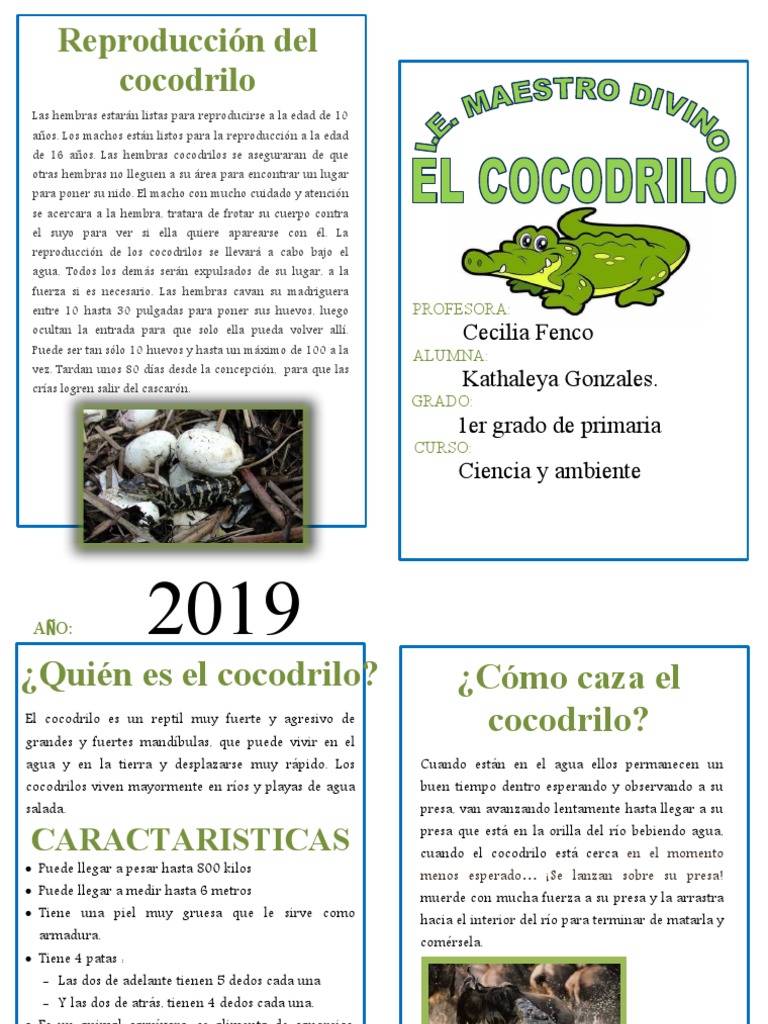 Diptico Cocodrilo | PDF | Depredación | Organismos