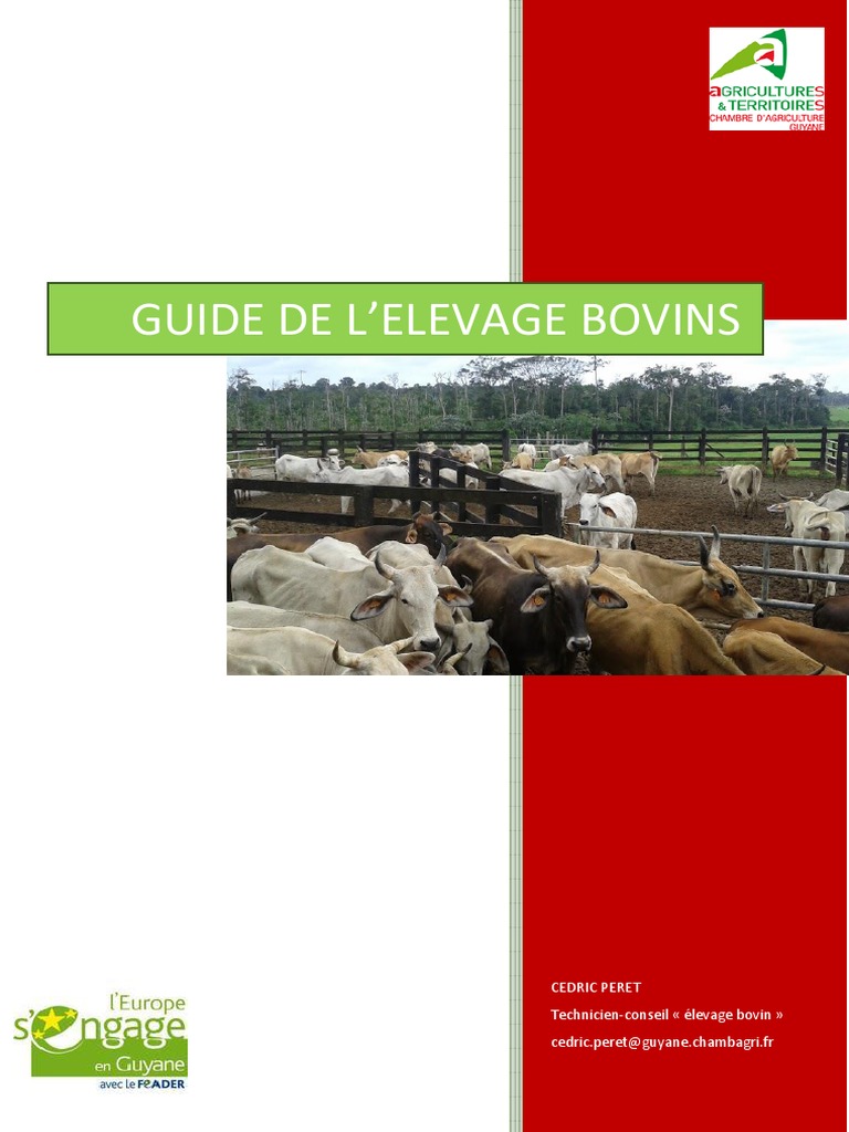 Guide pratique de l'élevage bovin | PDF | Prairie | Bovins domestiques