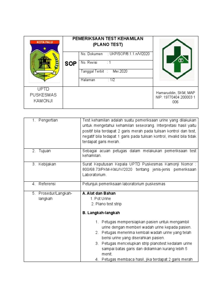 Pemeriksaan Kehamilan (Plano Test) | PDF