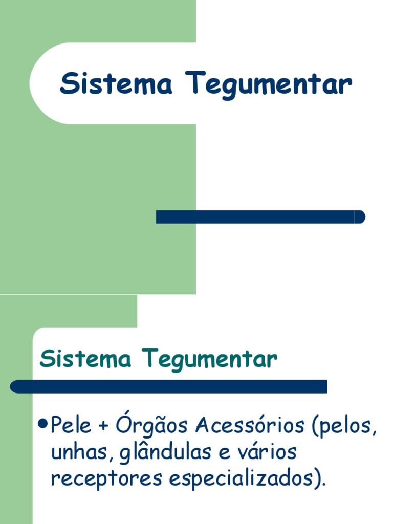 3 Aula Sistema Tegumentar Pdf Pele Sistema Tegumentar