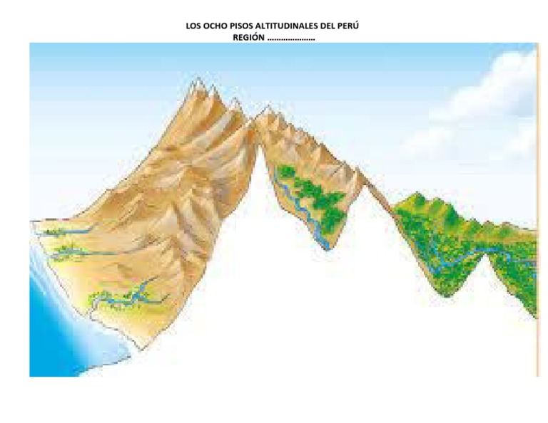 Mapa - Los Ocho Pisos Altitudinales Del Perú | PDF
