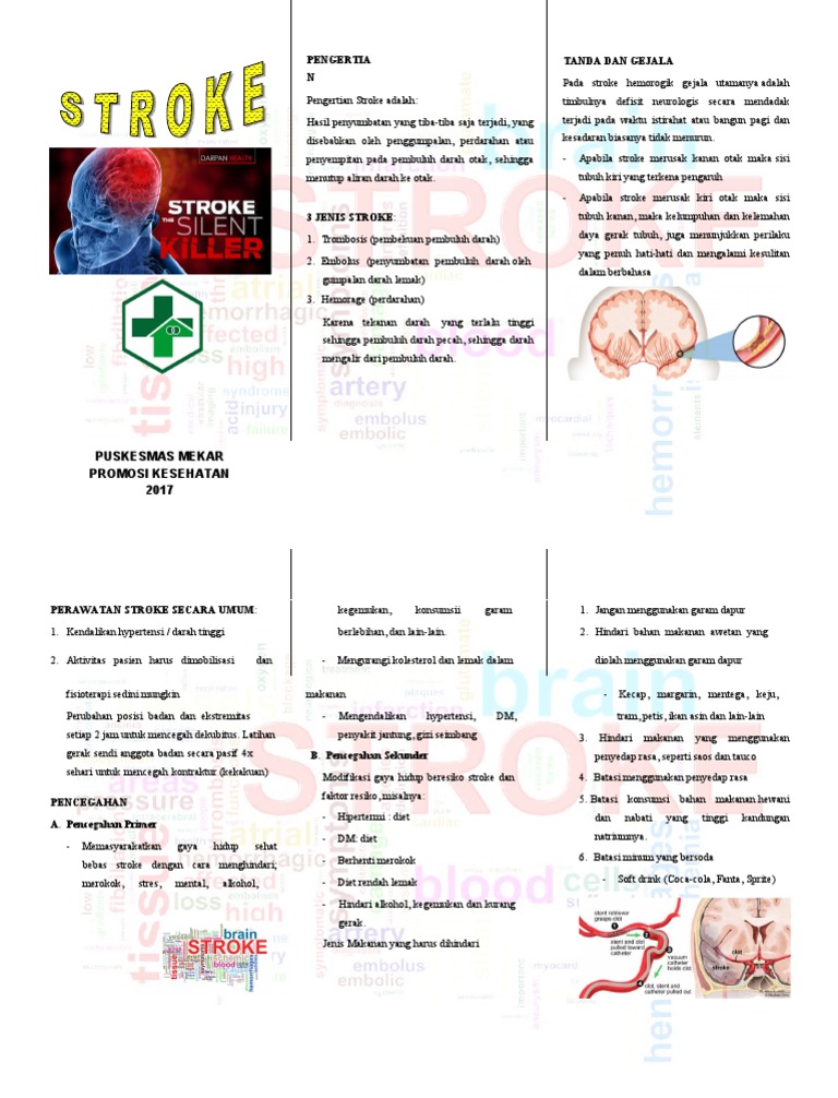 Panduan Pencegahan dan Perawatan Stroke | PDF