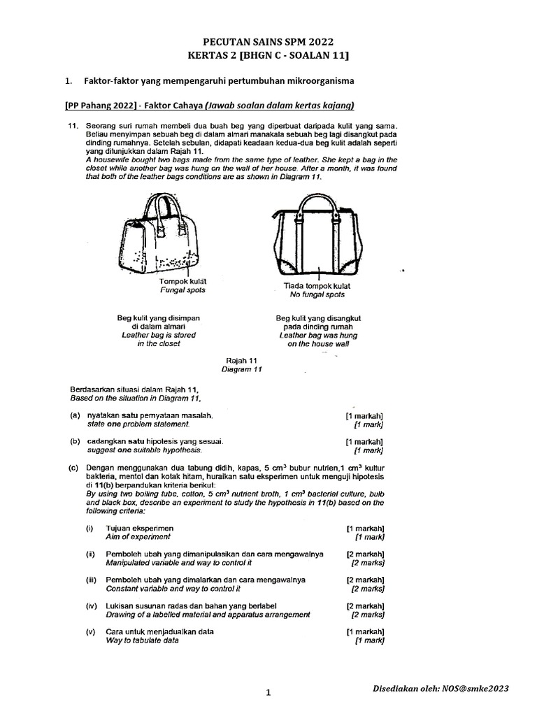 Pecutan Sains SPM 2022 (k2 BHGN C) | PDF
