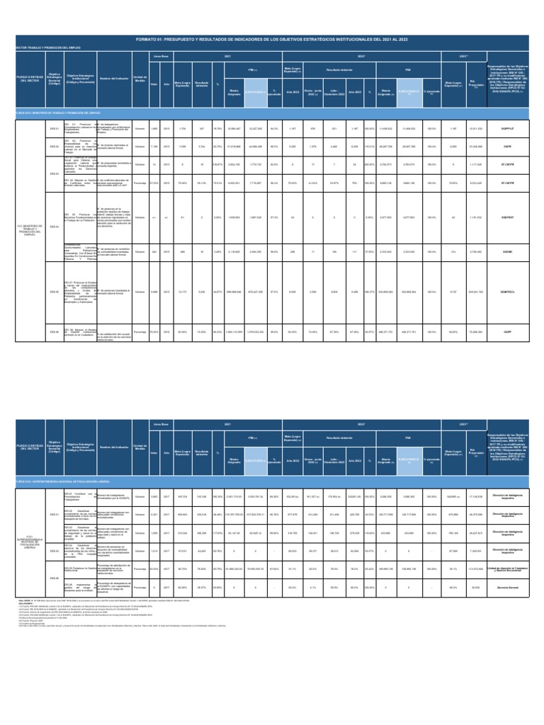 Formatos para Ppto 2023 - Sector | PDF | Empleo | Industrias de servicio