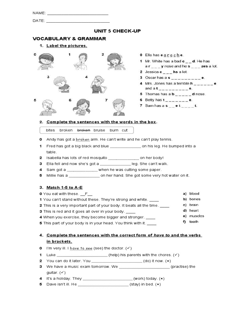 Vocabulary and Grammar Check-Up Guide | PDF | Linguistics | Syntax