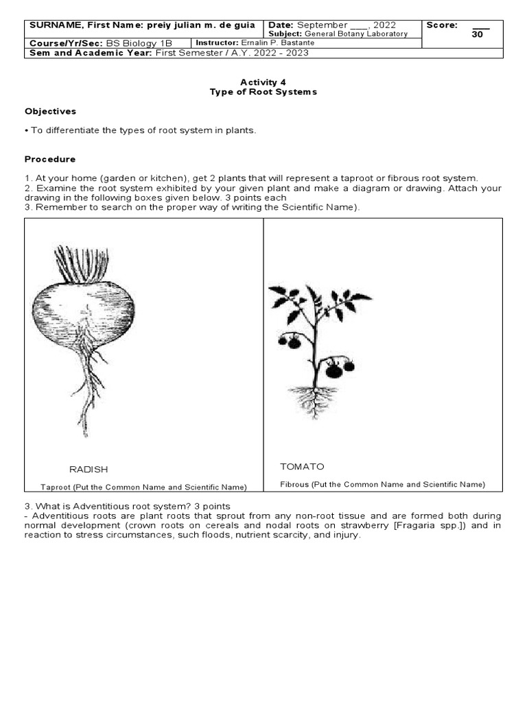 Activity 5 Type of Root System Preiy Julian M. de Guia | PDF | Root ...