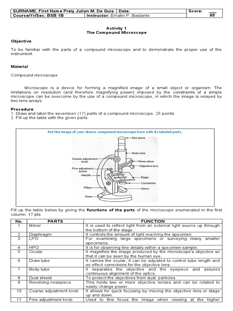 Activity 1 Microscope (1) PREIY JULIAN M. DE GUIA | PDF | Microscope | Scientific Techniques