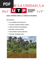 Características de la Sabana Húmeda con Palmeras | PDF | Deforestación ...