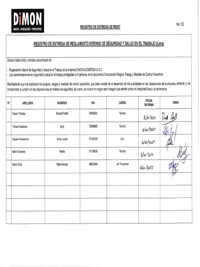 Registro Entrega RISST | PDF