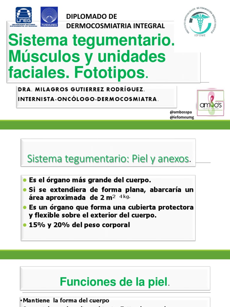 Piel y Sistema Tegumentario 2021 | PDF | Sistema tegumentario | Piel