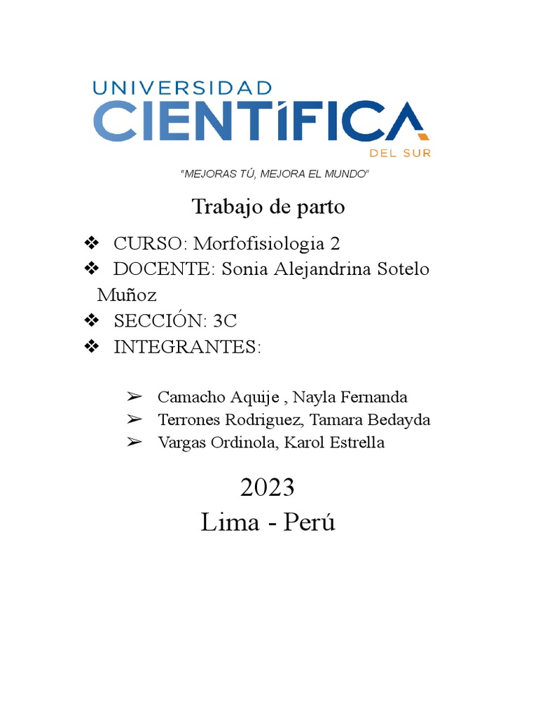 Informe EC4 MORFO | PDF | Parto | El embarazo