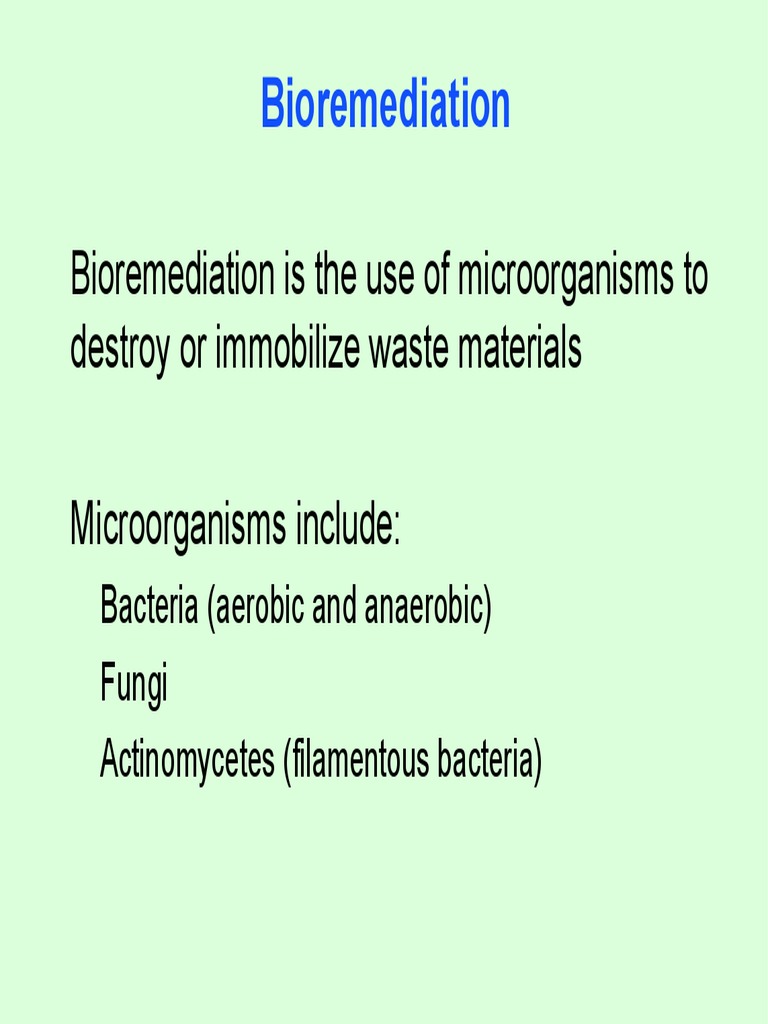 4 Bioremediation | Download Free PDF | Bacteria | Physical Sciences