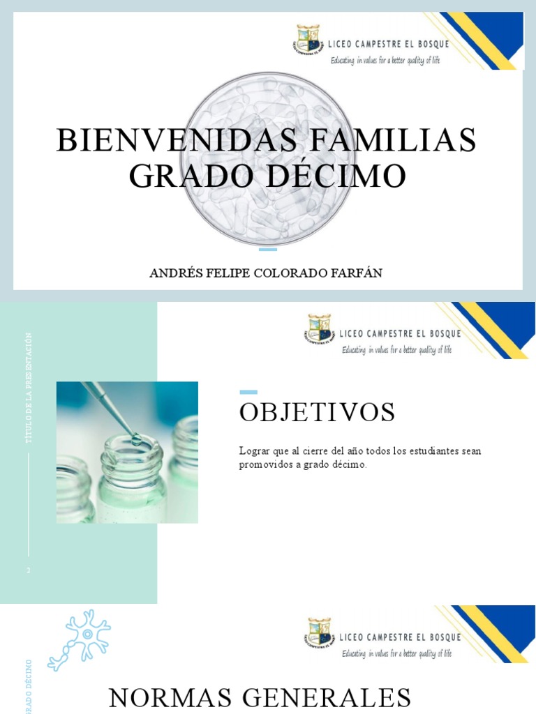 Bienvenidas Familias Grado Décimo | PDF