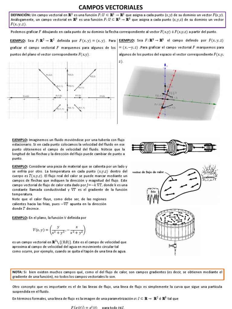 Campos Vectoriales | PDF | Vector Euclidiano | Integral