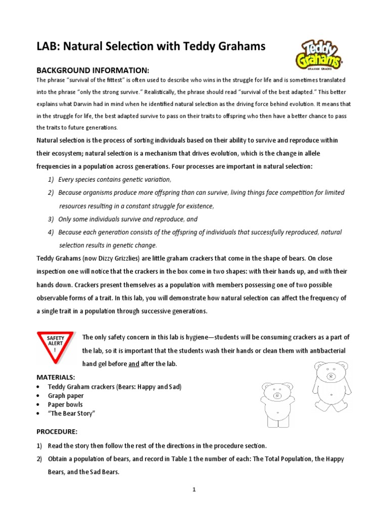 Teddy Graham Natural Selection Lab | PDF | Natural Selection | Evolution